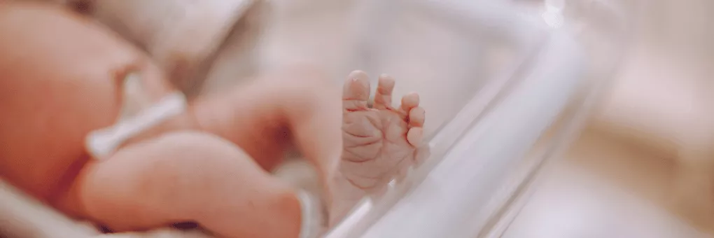 HSSIB takes over patient safety investigations